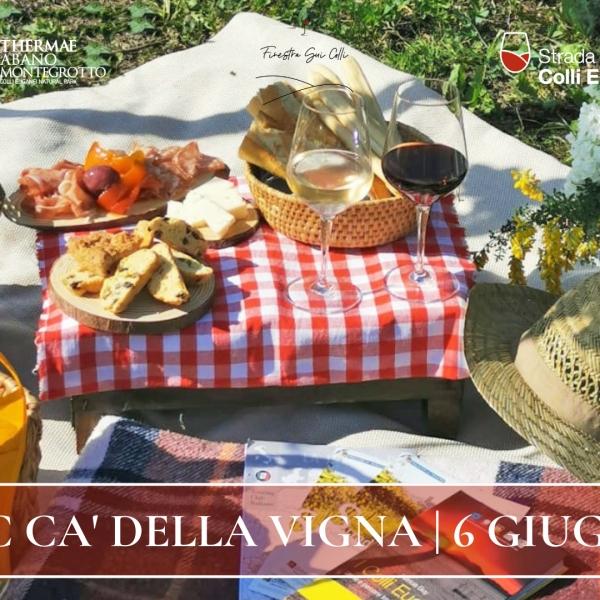 Pic Nic in vigneto Cà della Vigna - ingresso Baby