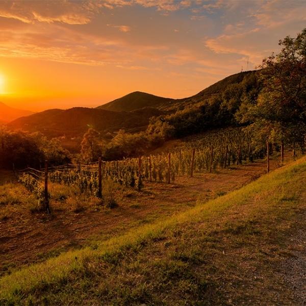 Passeggiata d'Autunno: Alla scoperta del Roccolo Bonato
