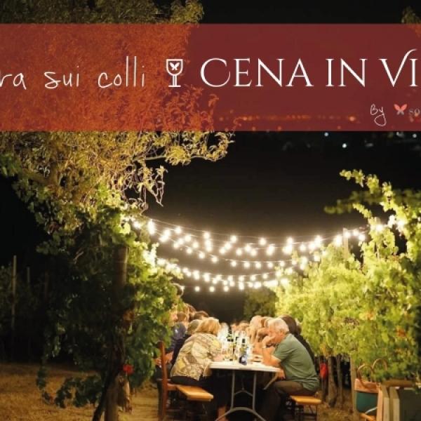 Finestra sui Colli, Cena in Vigna alla cantina Vigna Roda